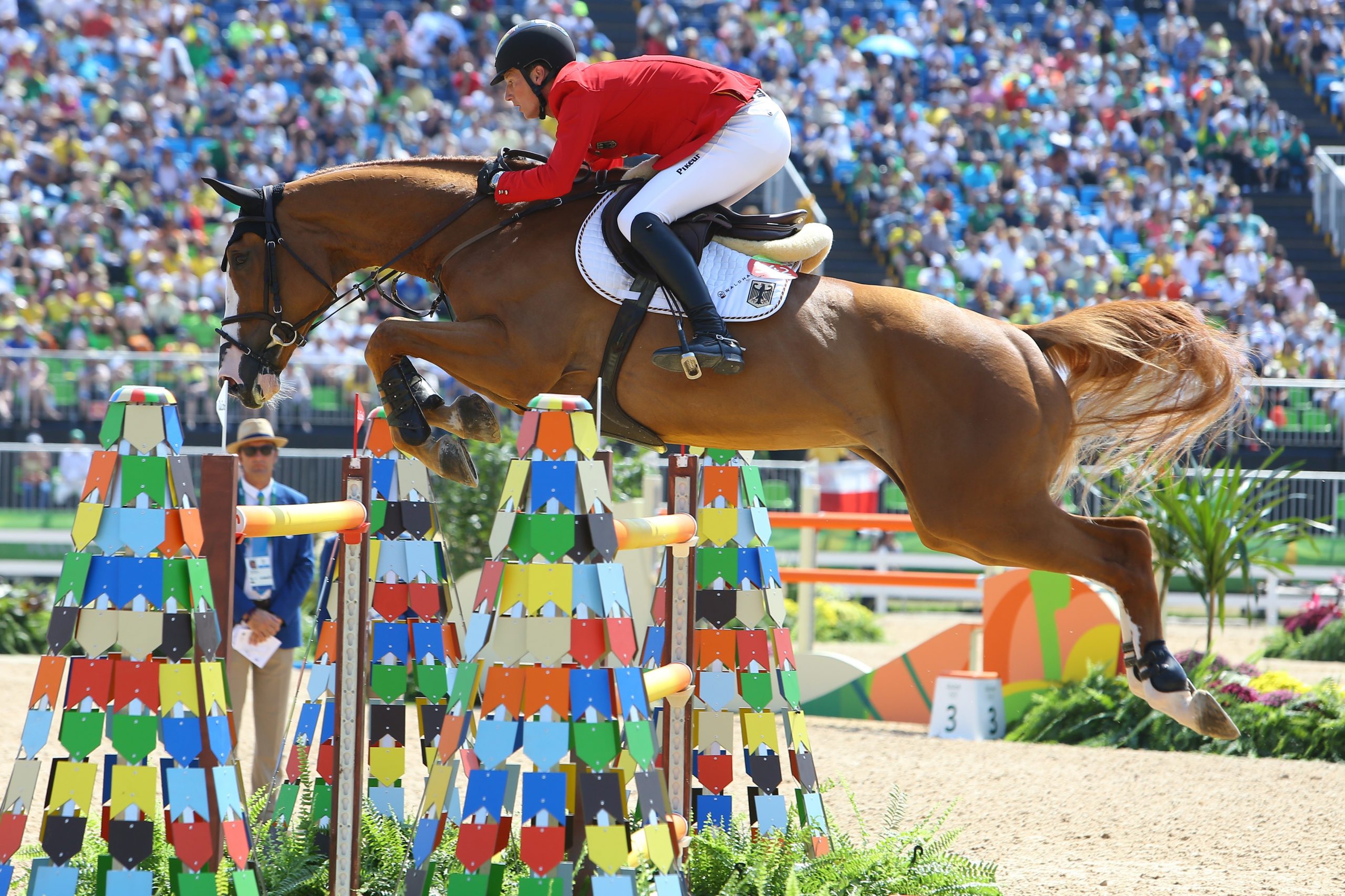 News - Stephex Stables