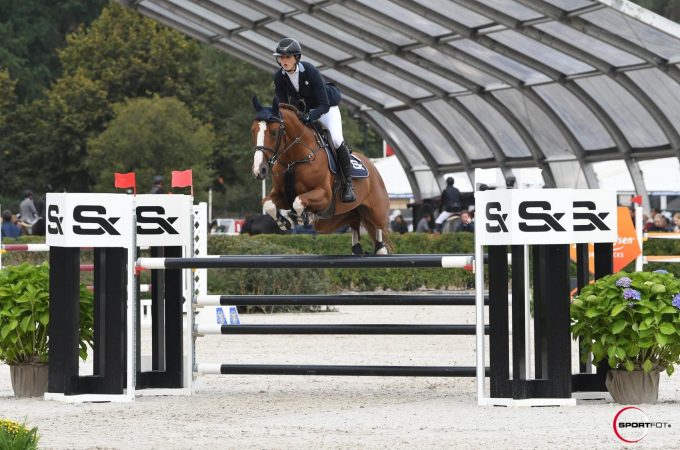 Stallions - Collection - Stephex Stables