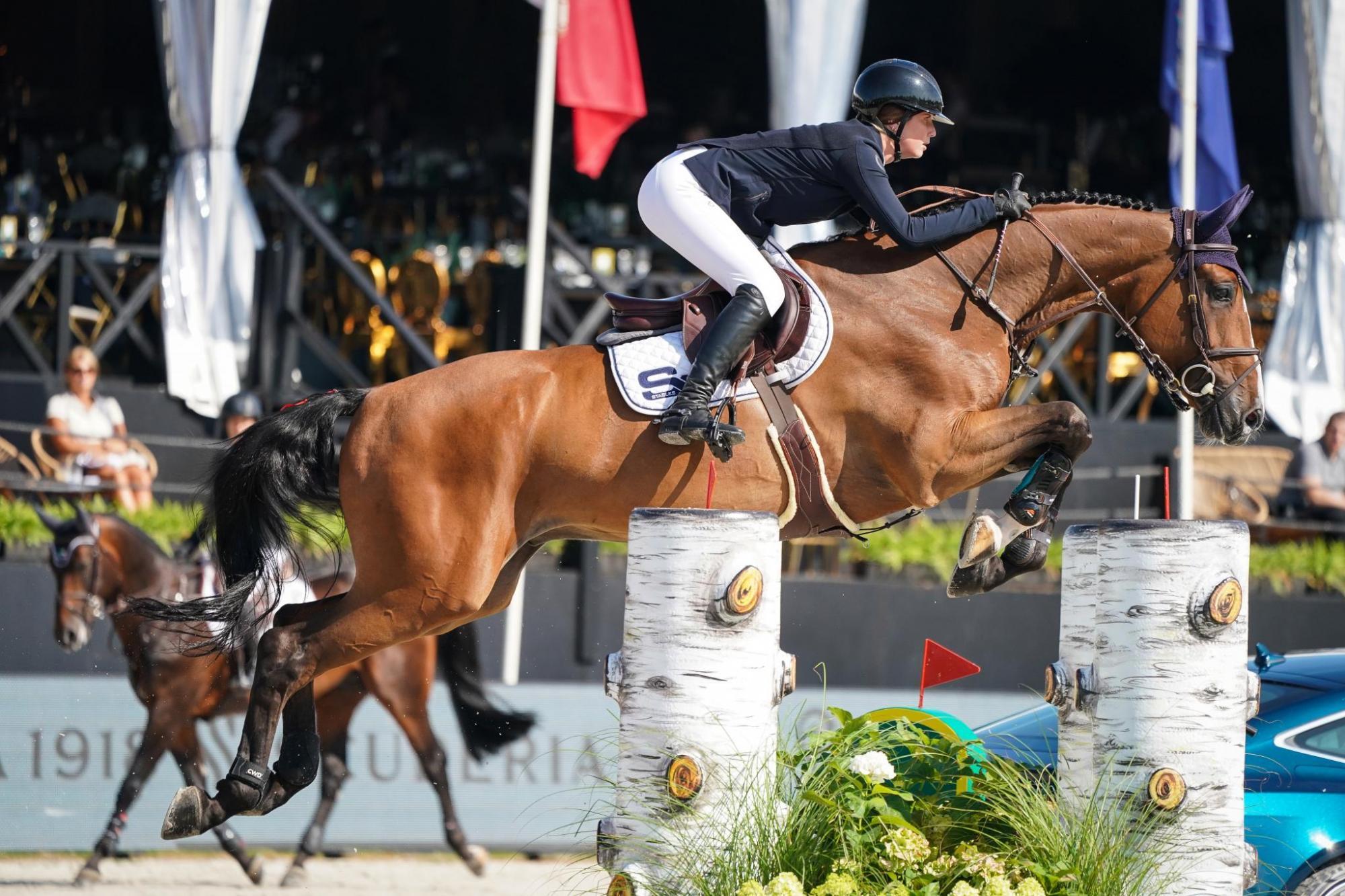 Stephex Success Stories - Stephex Stables