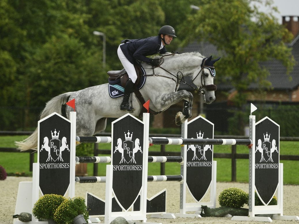 Nouveau cavalier dans l'équipe ! - Stephex Stables