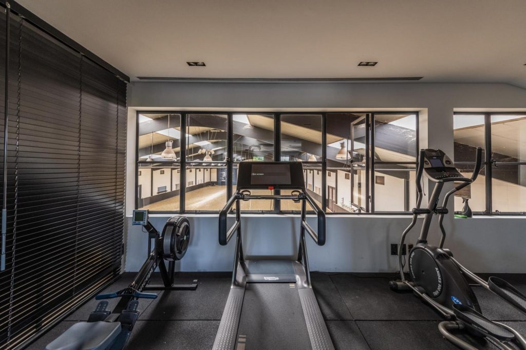 Become Part of the Stephex Adventure - Stephex Stables