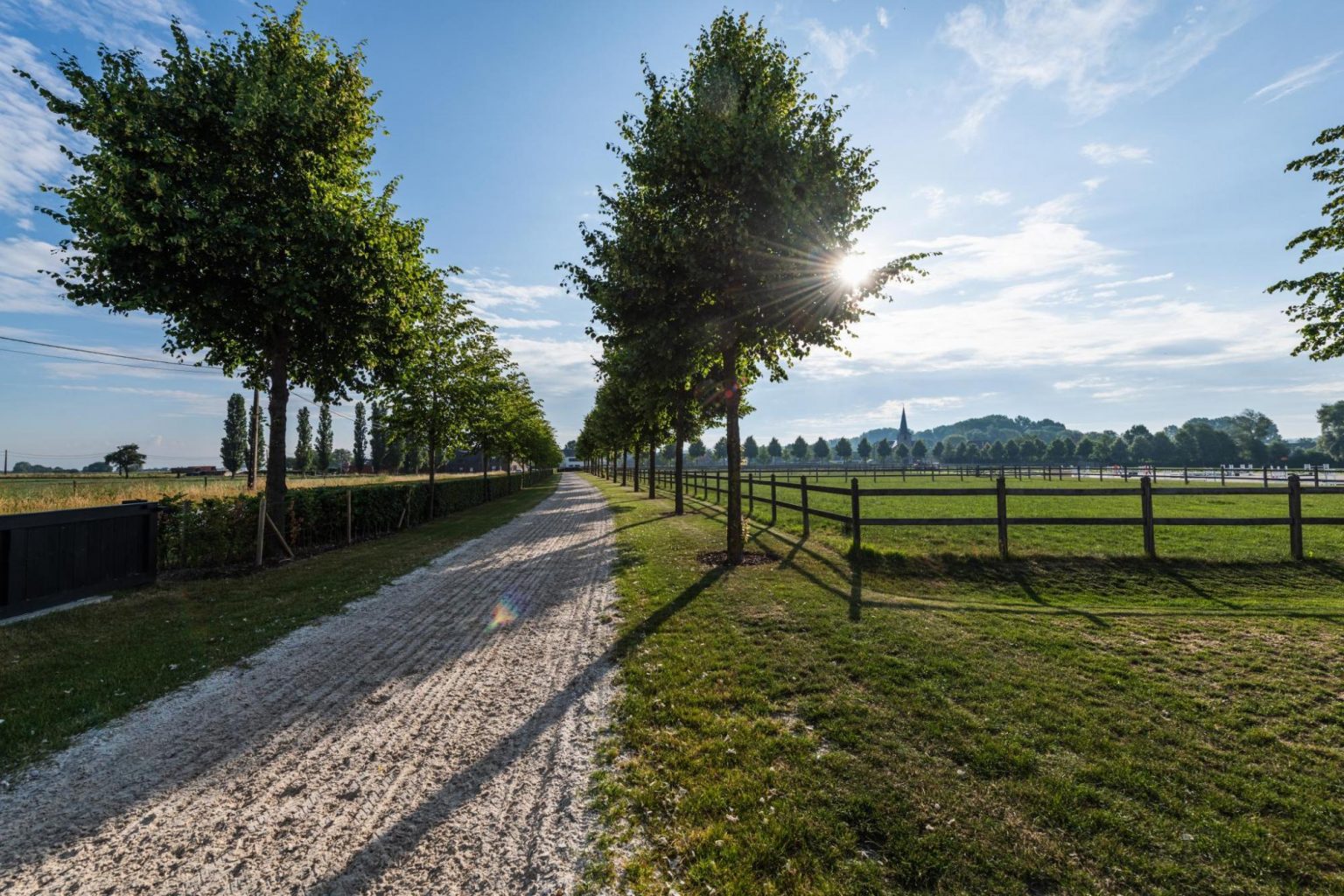 Become Part of the Stephex Adventure - Stephex Stables