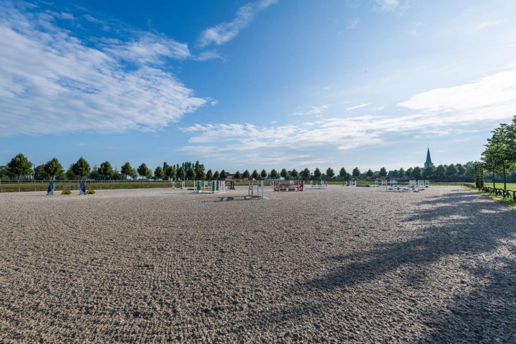 Become Part of the Stephex Adventure - Stephex Stables