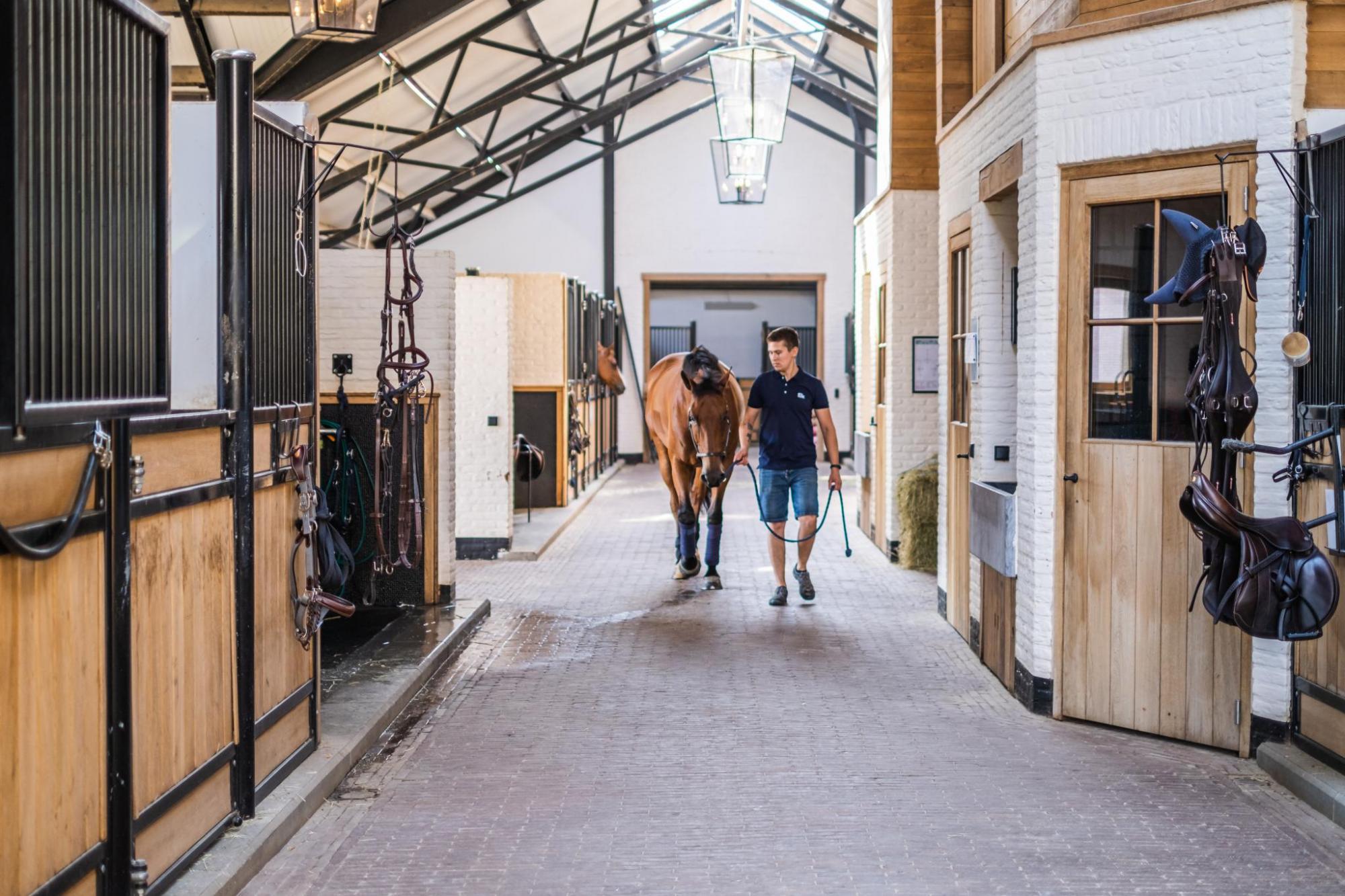 Faites partie de l'aventure Stephex - Stephex Stables