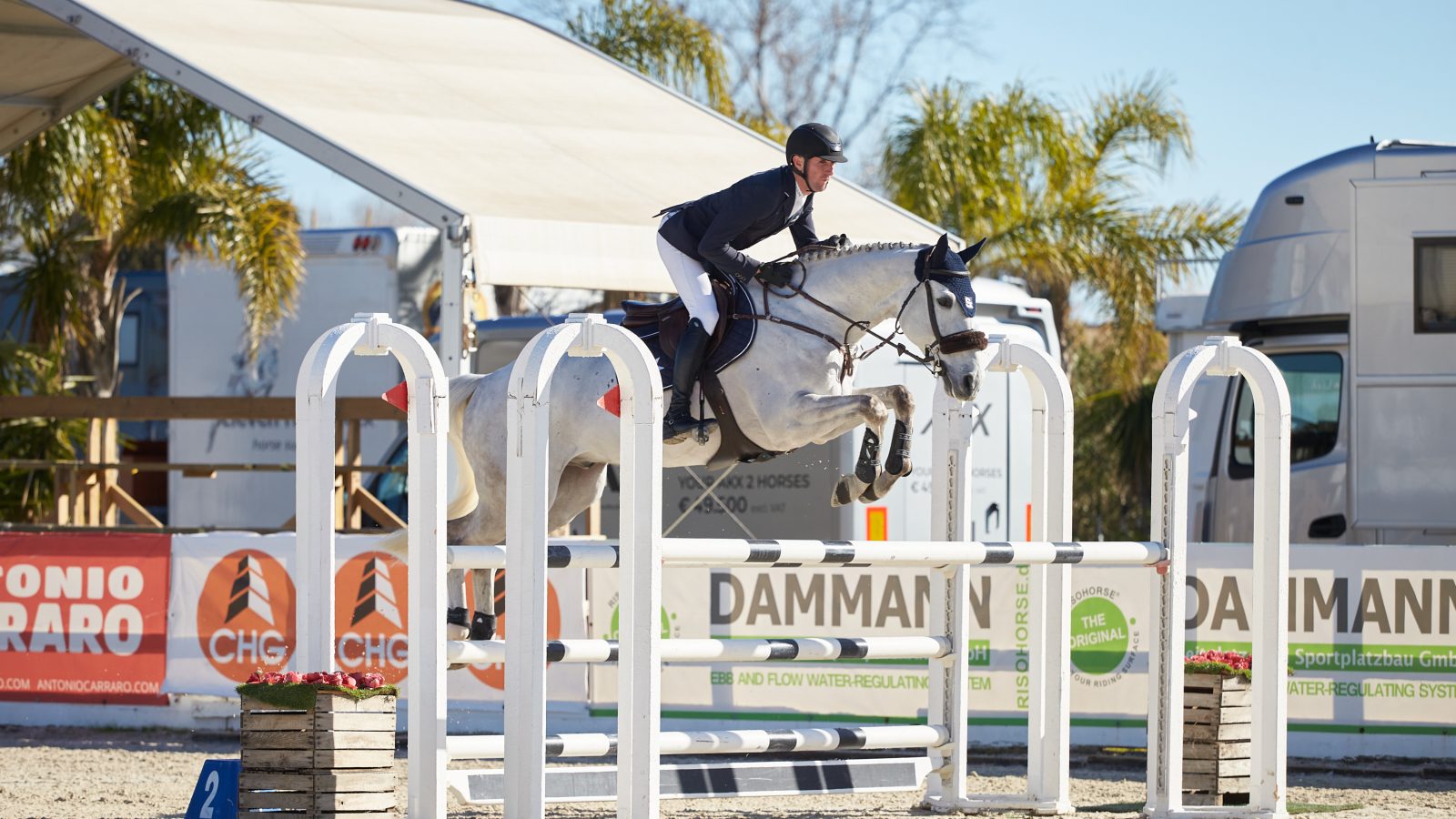 Sporthorse – Stephex Stables