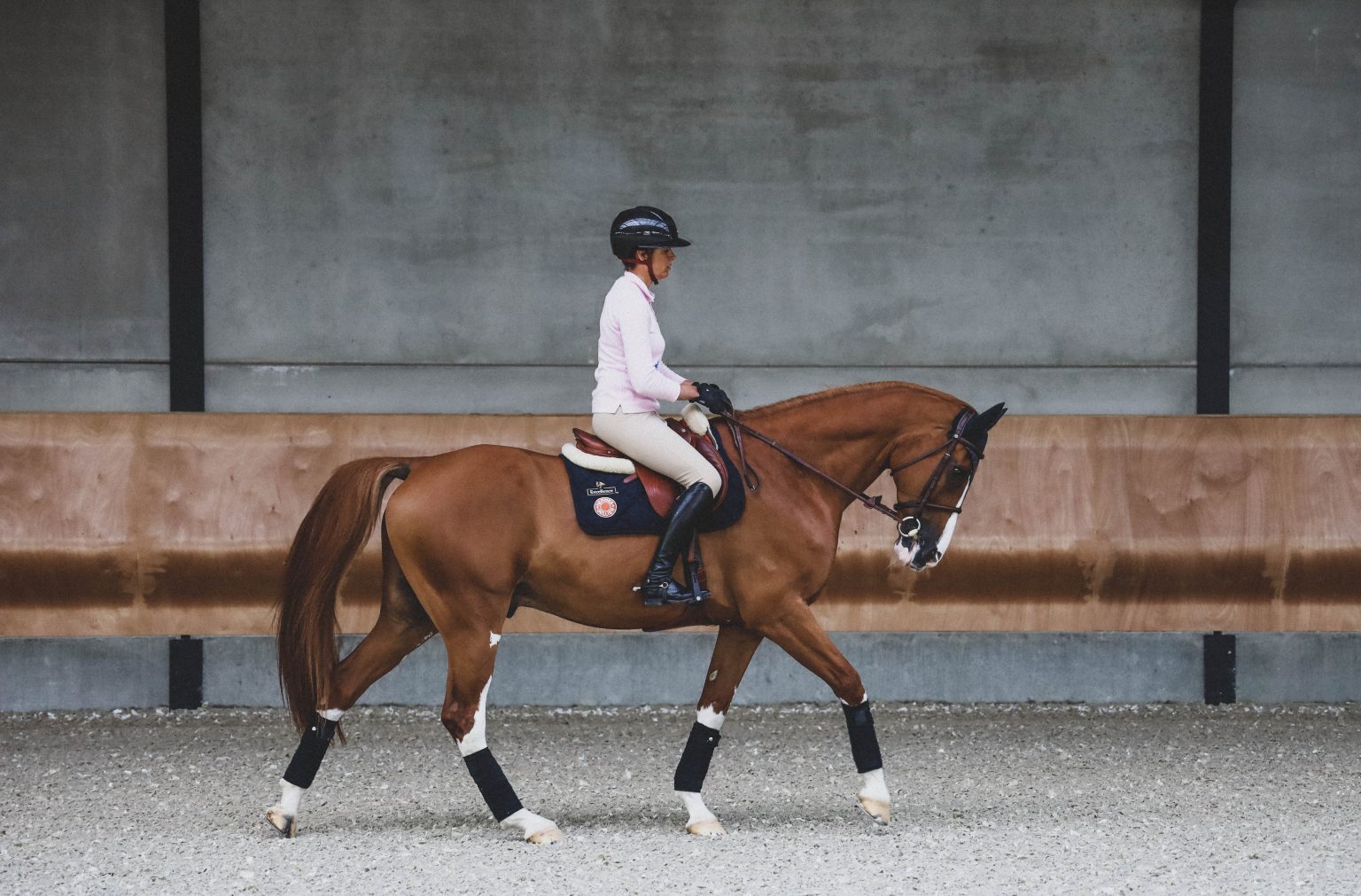 Become Part of the Stephex Adventure - Stephex Stables