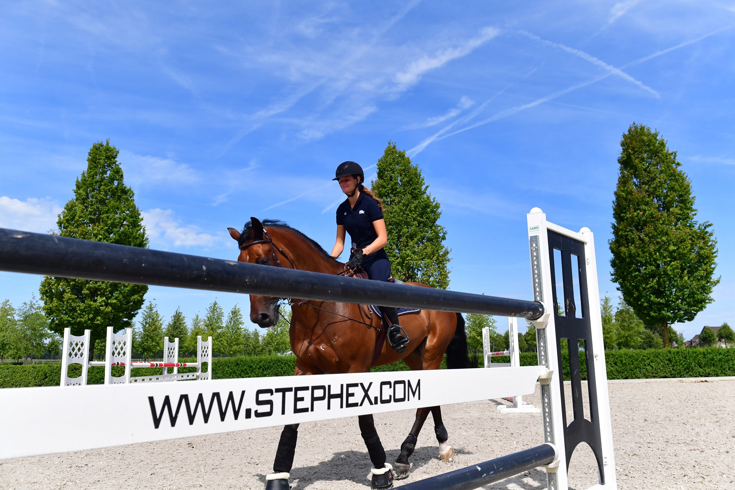 Sell your Horse - Stephex Stables