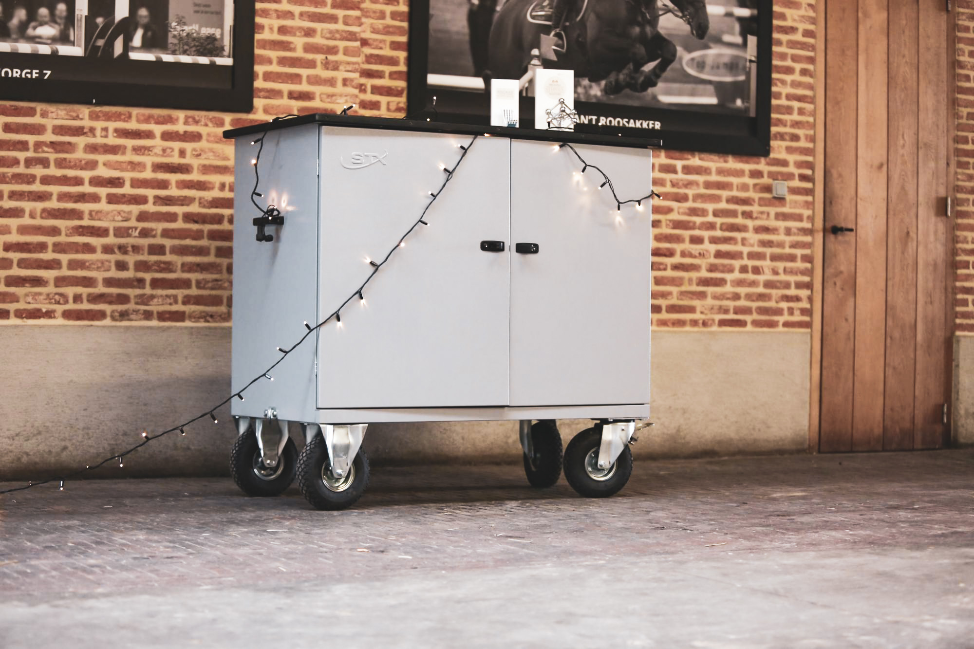 Stephex New Year’s HUGE Giveaway!! - Stephex Stables