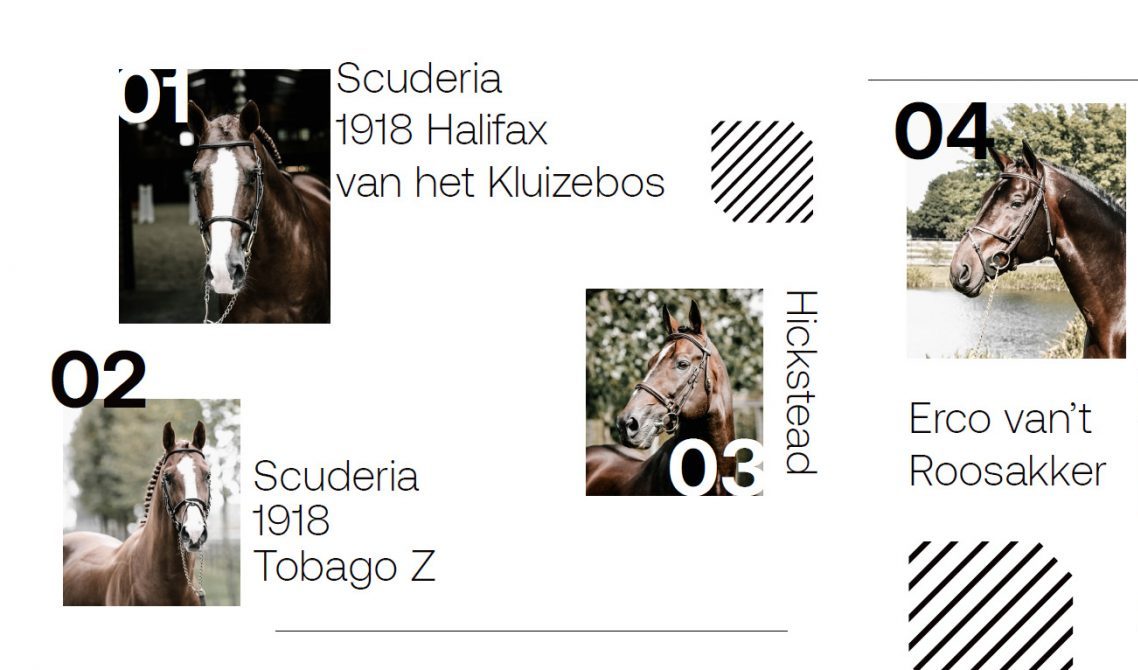 Stallion Collection 2021 - Stephex Stables