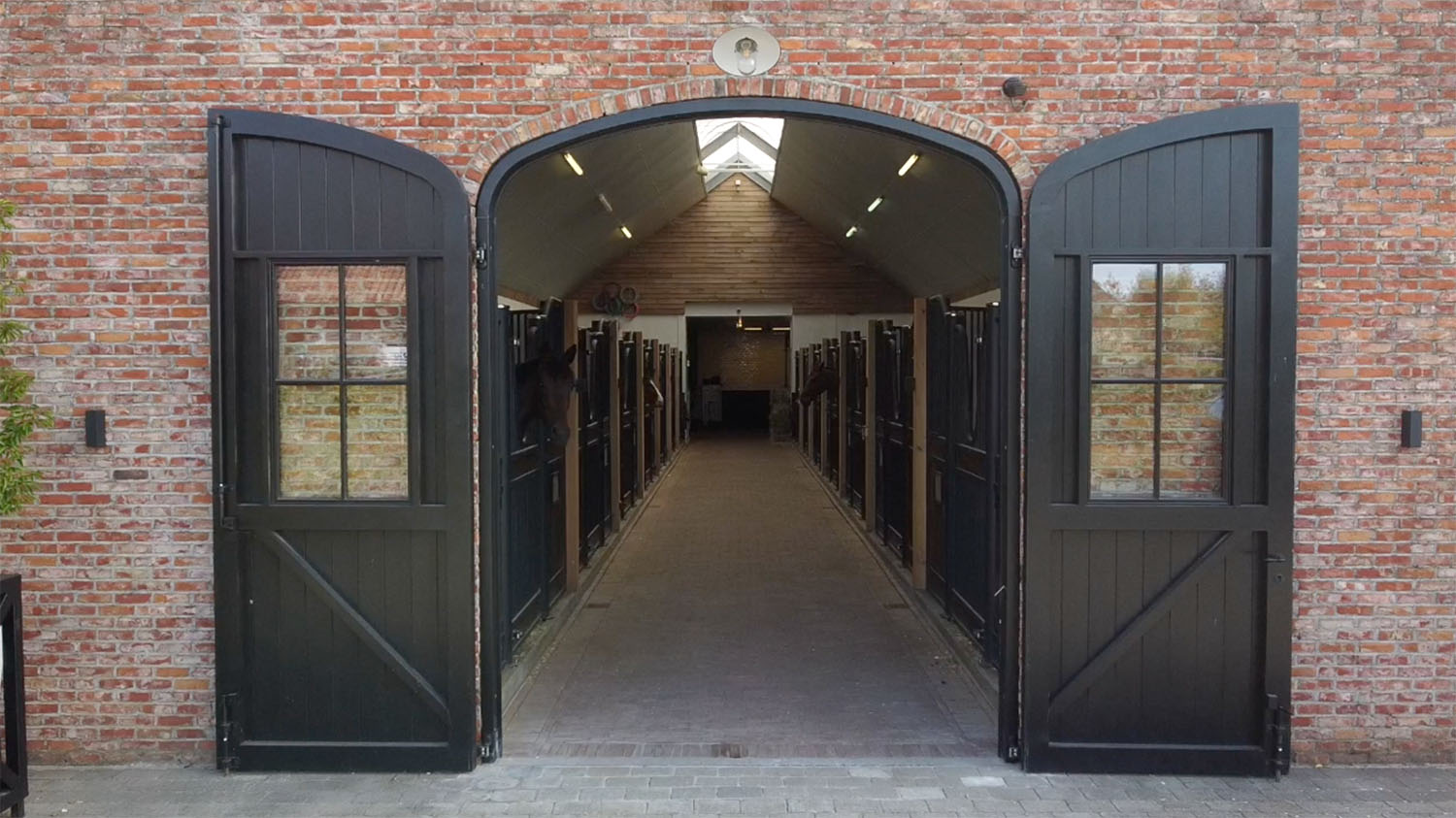 Stephex Success Stories - Stephex Stables