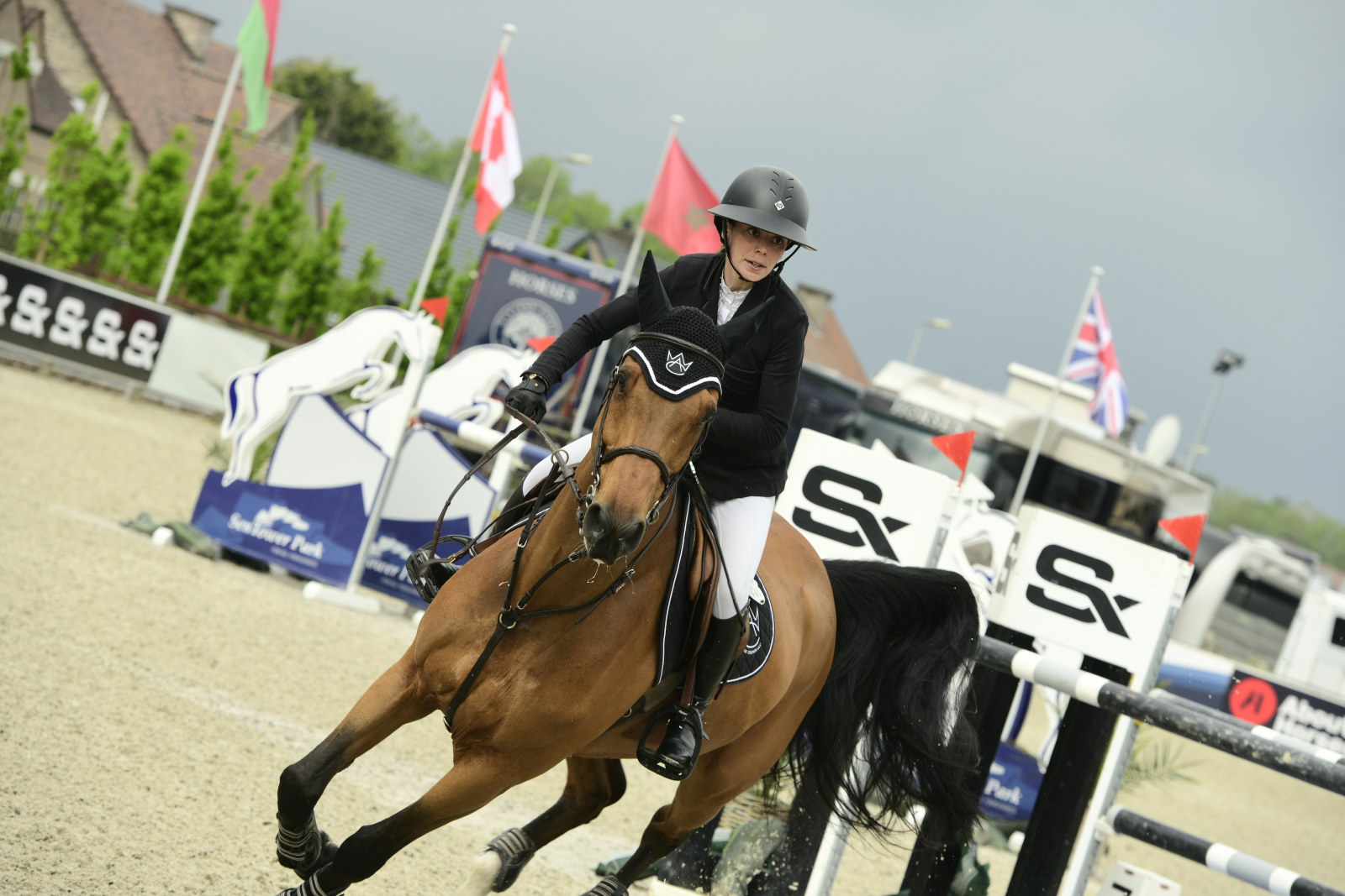 "The Stephex facility is amazing and has pretty much everything a horse ...