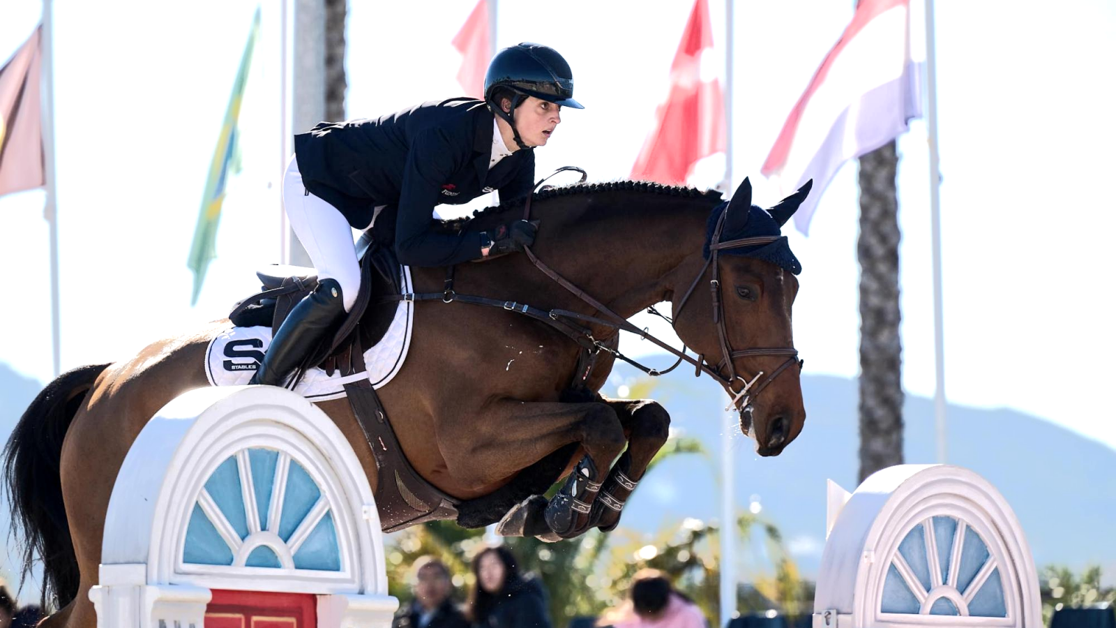 Sporthorse – Stephex Stables