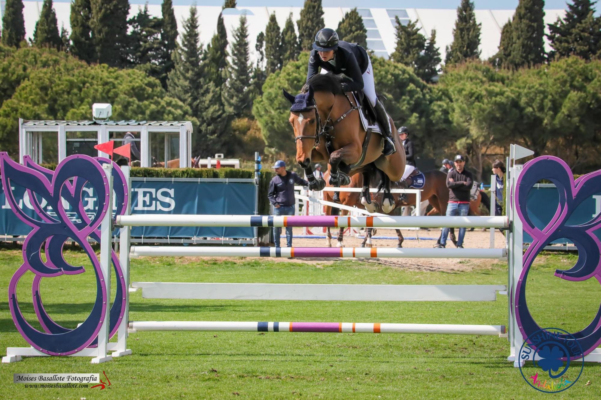 Stephex Success Stories - Stephex Stables