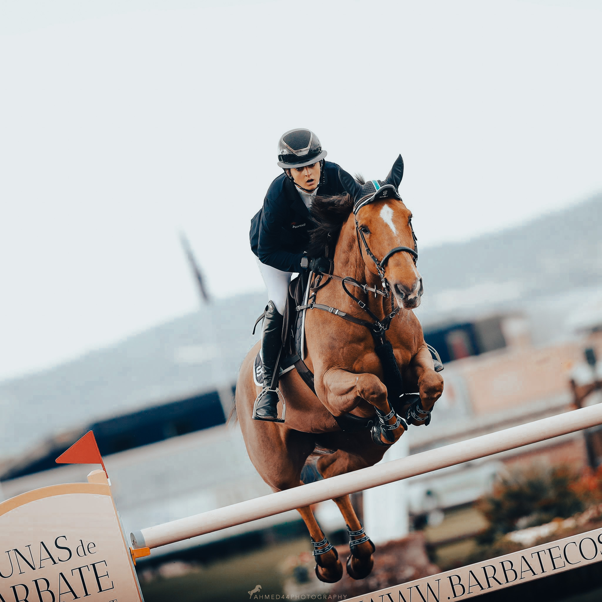 Stephex Success Stories - Stephex Stables