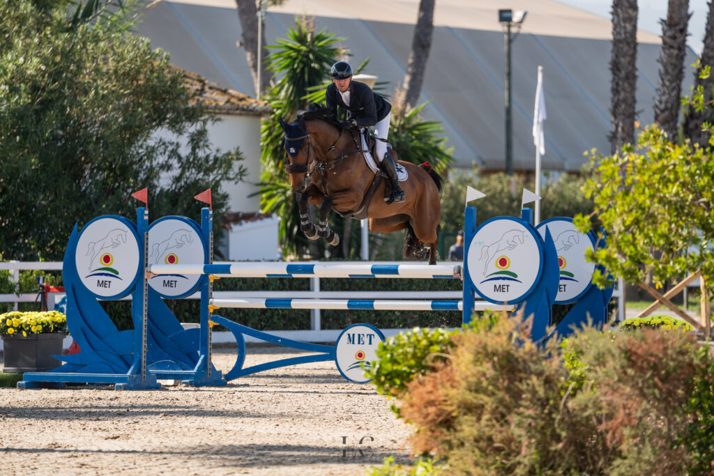 Secret Blue Vdm - Stephex Stables